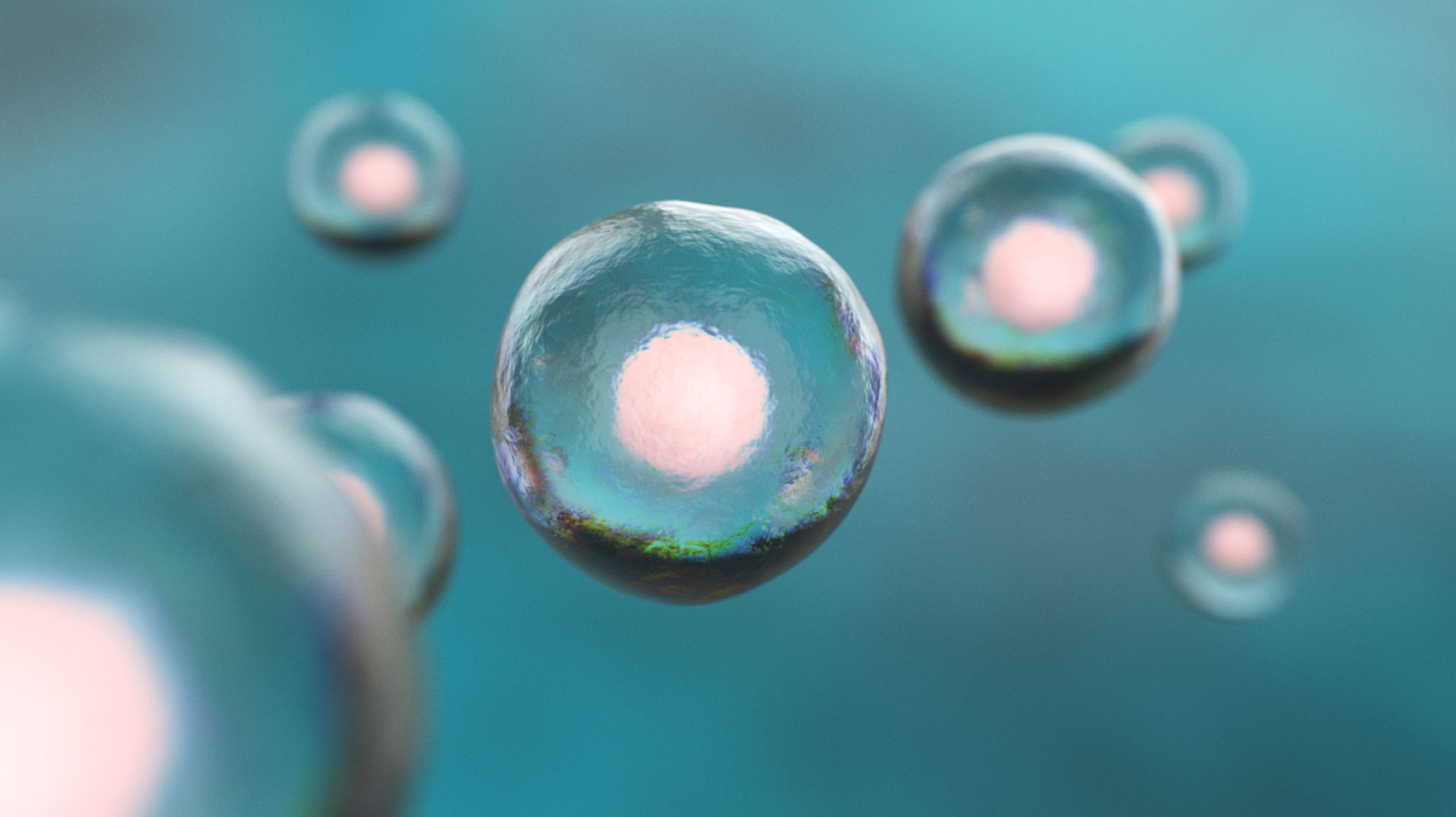 Do morphokinetic parameters vary between male and female ... Do morphokinetic parameters vary between male and female ...
